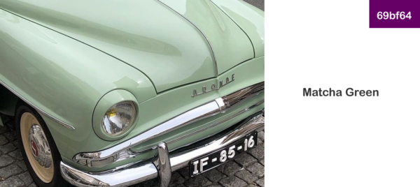 Matcha Green Color Code – 69bf64 – Ceramic Glazed